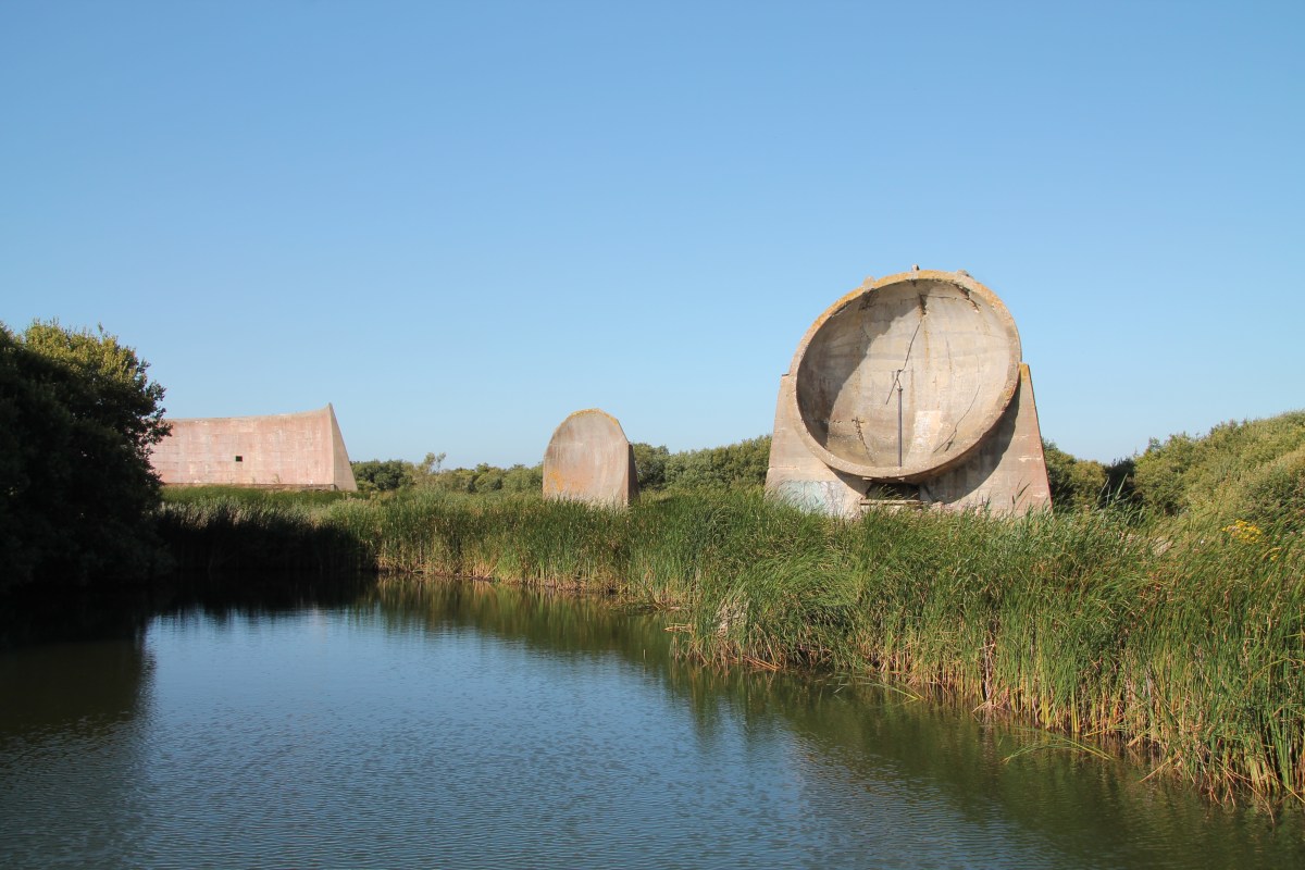 Concrete and Green – Sound Artist Edwin Hind